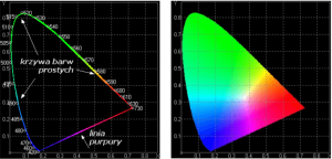 ¿Cómo describimos los colores? Modelos de color independientes - PCC ...