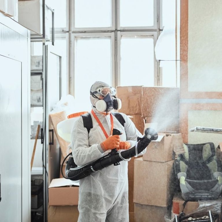 Everything you need to know about ozone disinfection - PCC Group ...