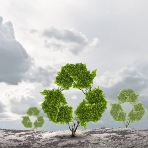 What is recycling, how does it work, what types and stages are there ...
