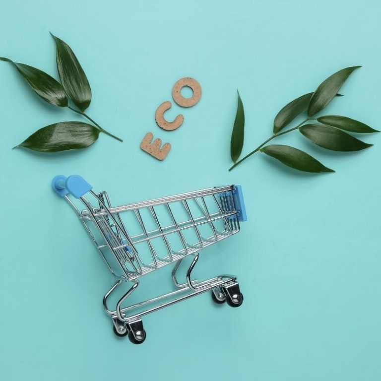 What are eco-labels and how do you interpret them? - PCC Group Product ...