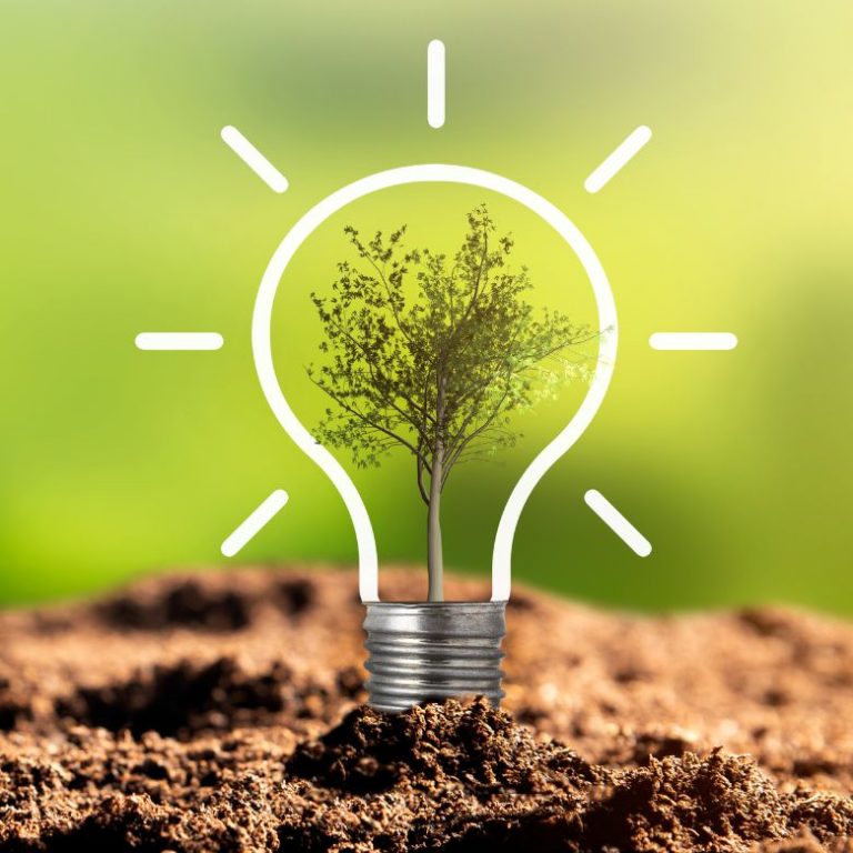 Wat is ecologie? Alles wat je moet weten! - PCC Group Product Portal