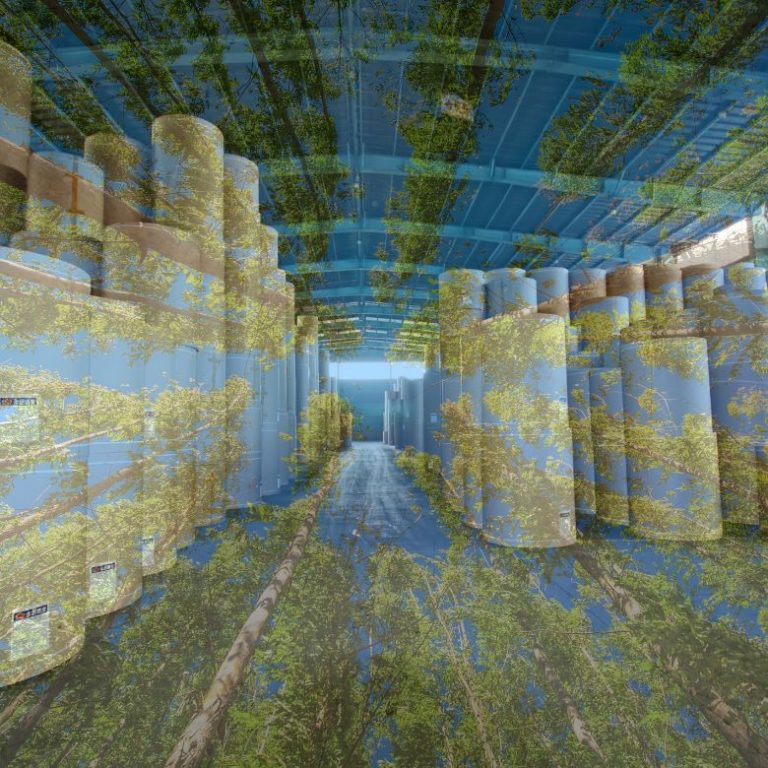 Cellulose: samenstelling, eigenschappen, voorkomen en toepassingen ...