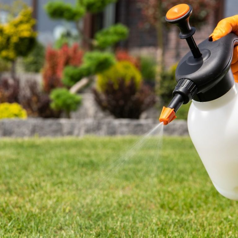 ¿Qué son los adyuvantes? Descubre las ventajas de utilizarlos | PCC